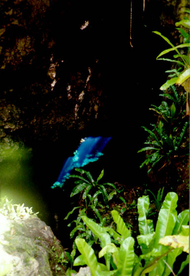 Pacific Islands - Buada Lagoon, Nauru - RaroImage Photo Gallery