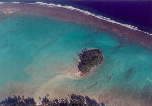 Scenery - Rarotonga Sheraton Ruins. quo vadis? - RaroImage Photo Gallery