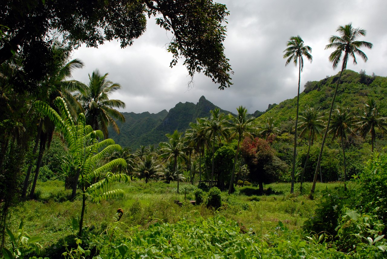 Scenery - Cook Islands Christian Church, Avarua, Rarotonga - RaroImage ...